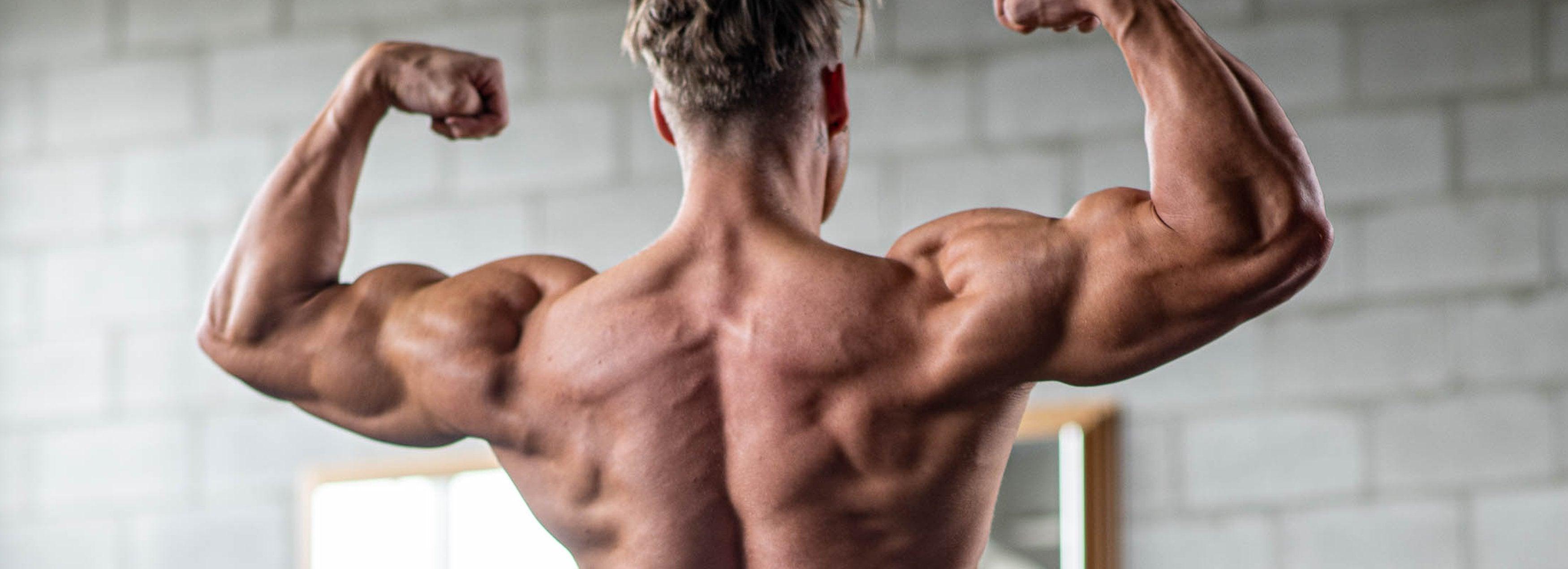 Four Ways to Maximize your Back Potential – Jed North